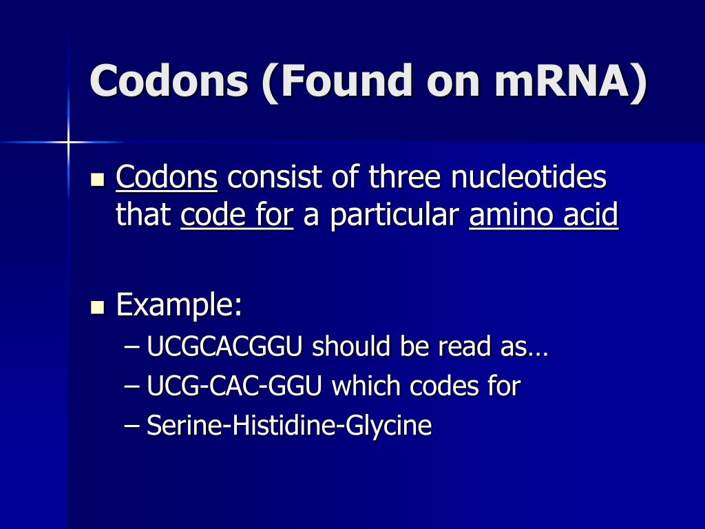 PPT - Central Dogma DNA RNA Protein PowerPoint Presentation, free ...