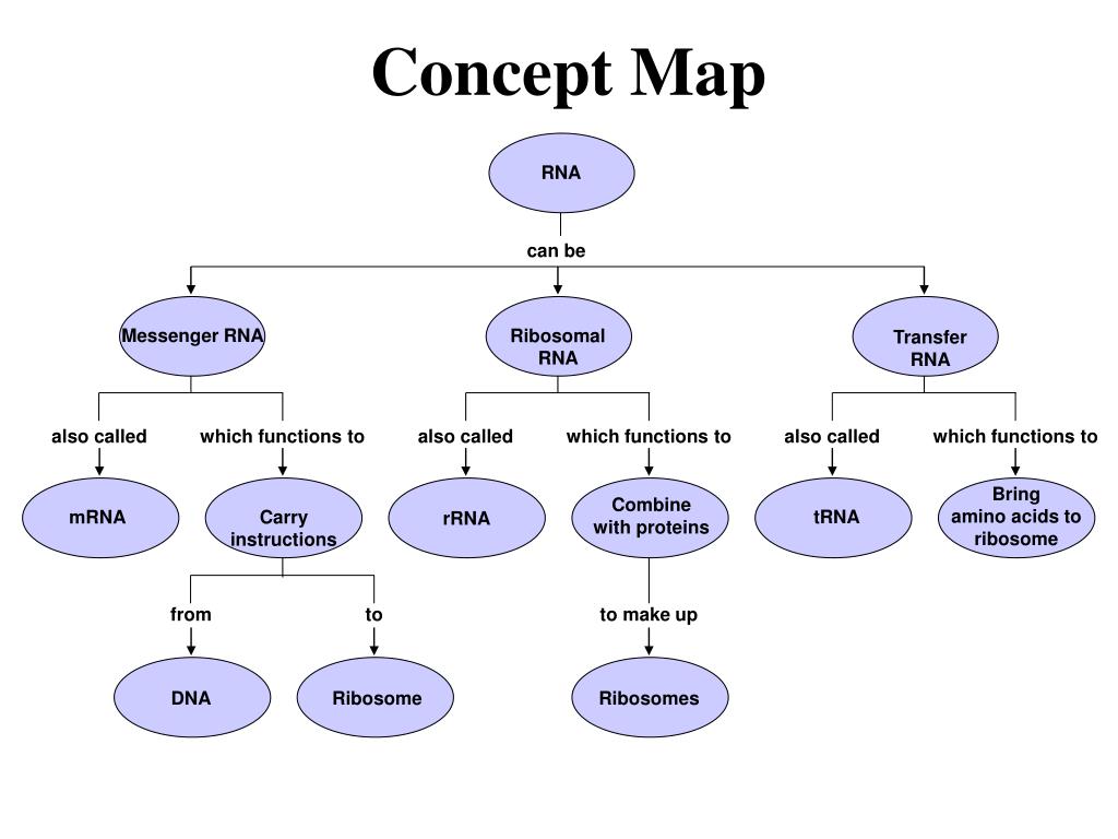 PPT - Central Dogma DNA RNA Protein PowerPoint Presentation, free ...