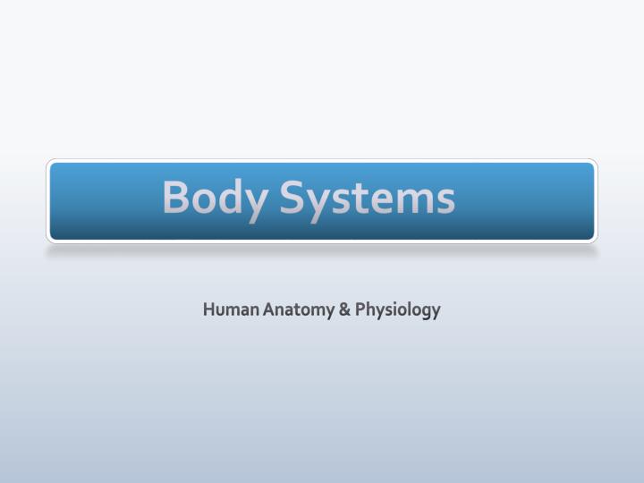 PPT - Body Systems PowerPoint Presentation, free download - ID:3386540