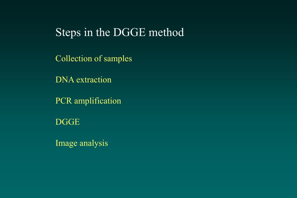 PPT - Genetic diversity of eukaryotic marine picoplankton studied by ...