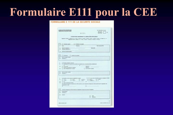 FORMULAIRE E111 PDF