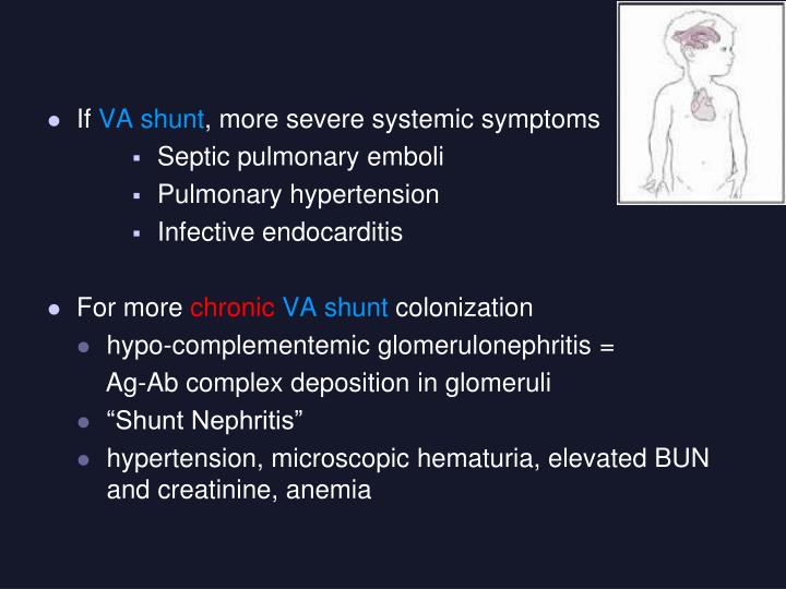 PPT - VP Shunts PowerPoint Presentation - ID:3387790