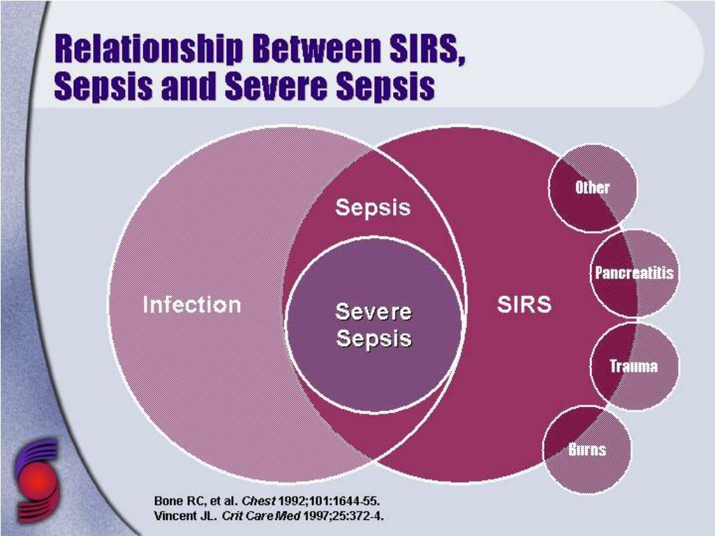 PPT - Michael Baram Medical Critical Care PowerPoint Presentation, free ...