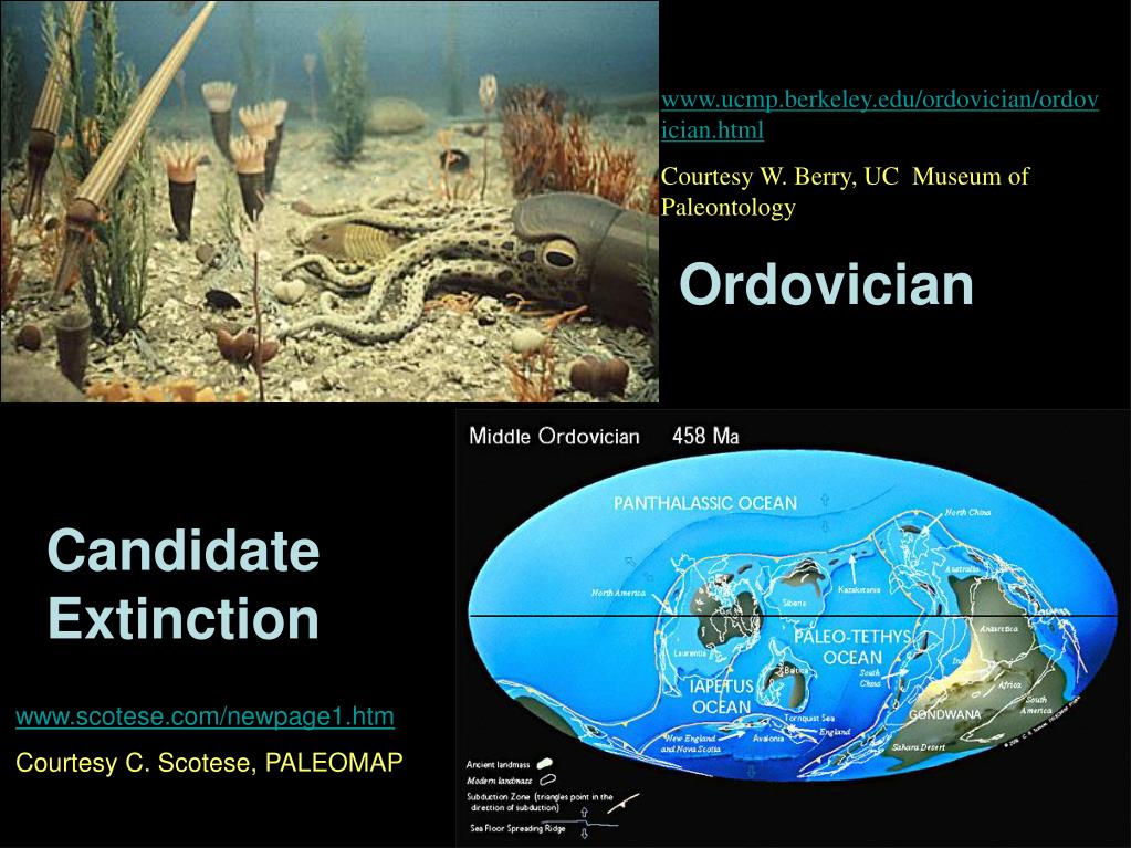 PPT - Did a gamma-ray burst initiate the late Ordovician mass ...