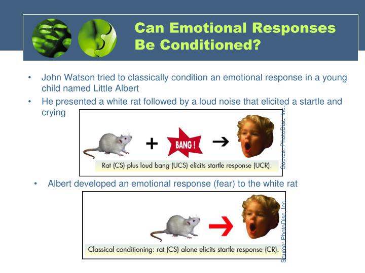 PPT - Module 9 Classical Conditioning PowerPoint Presentation - ID:3388782