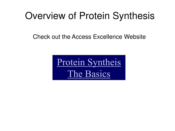PPT - Protein Syntheis The Basics PowerPoint Presentation, free ...