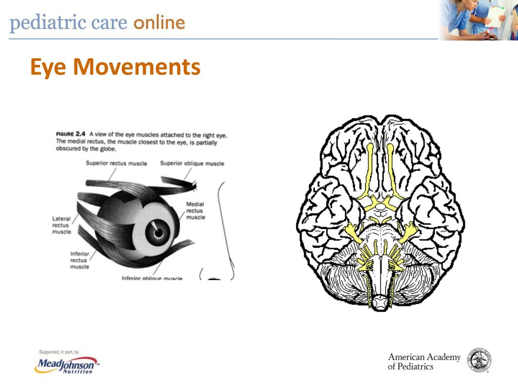 PPT - Pediatric Vision Screening David Granet, MD, FAAP Chair, AAP ...
