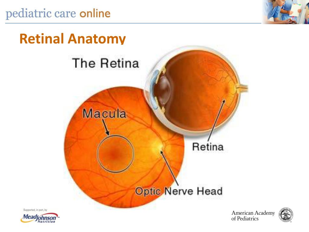 PPT - Pediatric Vision Screening David Granet, MD, FAAP Chair, AAP ...
