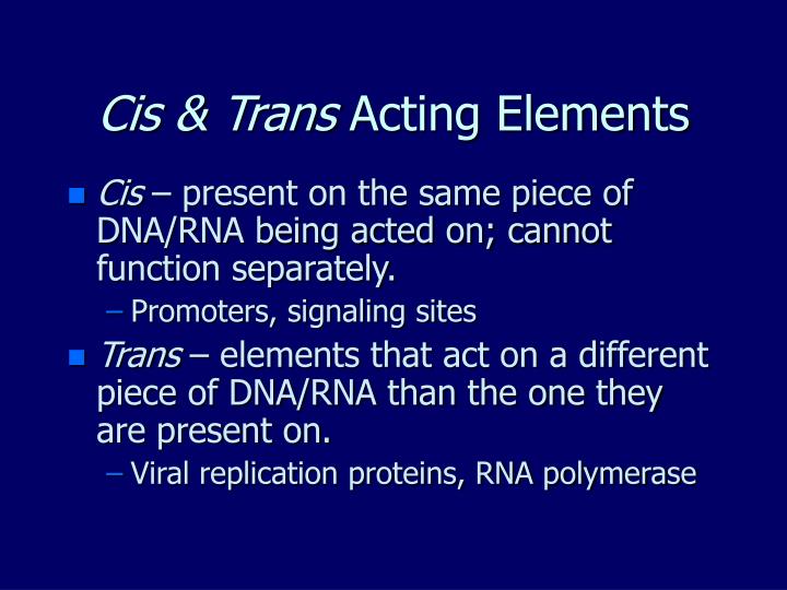 PPT - BioSafety Considerations PowerPoint Presentation - ID:3390180