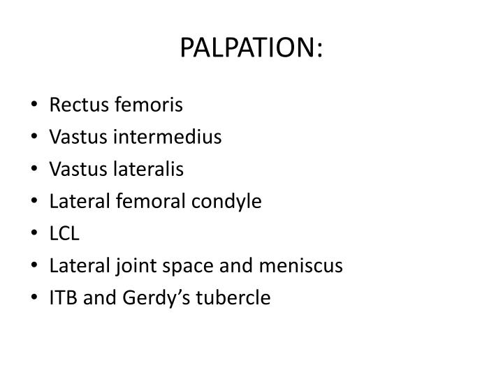 PPT - EXAMINATION OF THE KNEE PowerPoint Presentation - ID:3391057