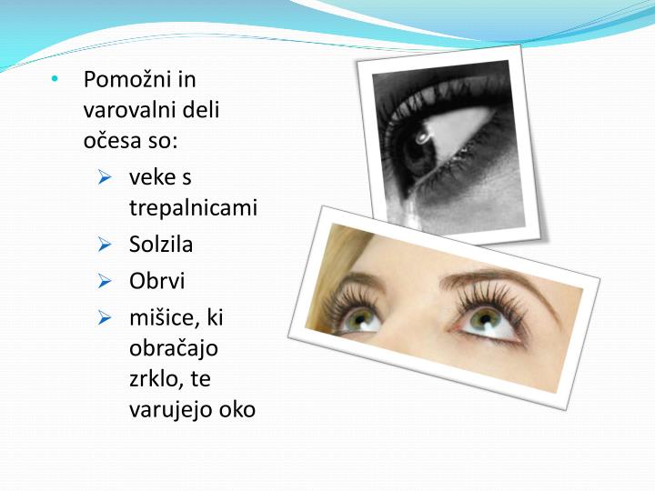 PPT - ČUTILA PowerPoint Presentation - ID:3391272