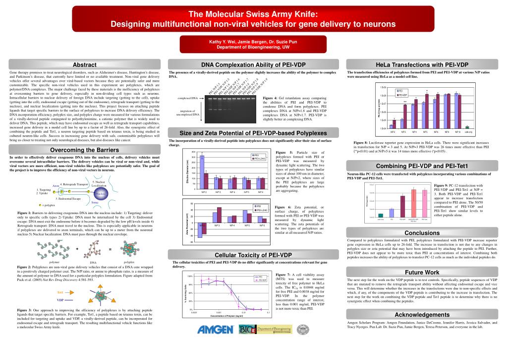 PPT - Kathy Y. Wei, Jamie Bergen, Dr. Suzie Pun Department of ...