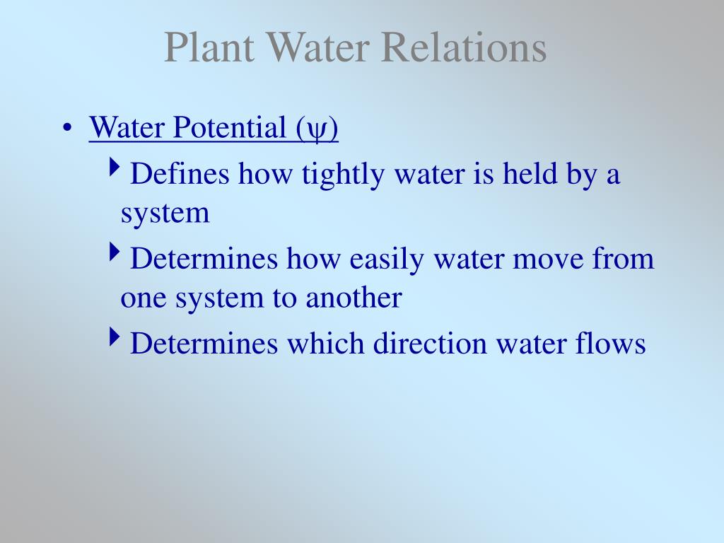 PPT - WATER: Properties, Role in Plants, Watering Strategies PowerPoint ...