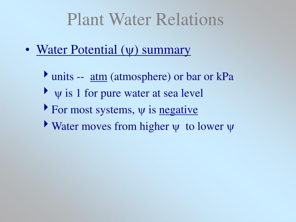 PPT - WATER: Properties, Role in Plants, Watering Strategies PowerPoint ...