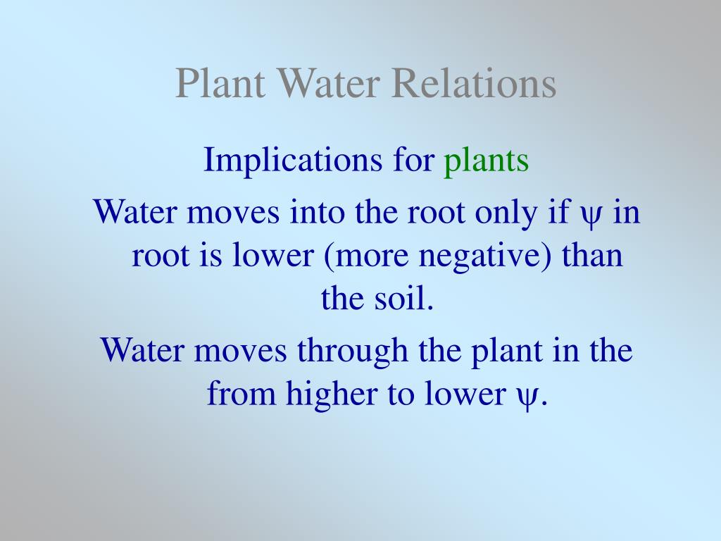 PPT - WATER: Properties, Role in Plants, Watering Strategies PowerPoint ...