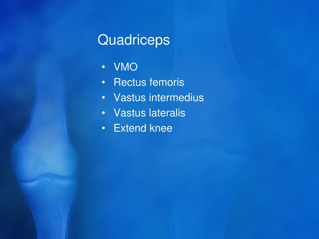 PPT - Clinical Anatomy of the knee PowerPoint Presentation, free ...