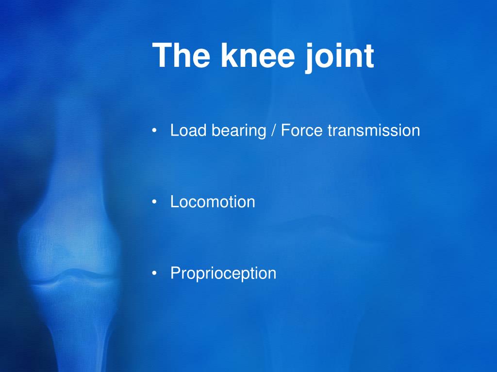PPT - Clinical Anatomy of the knee PowerPoint Presentation, free ...