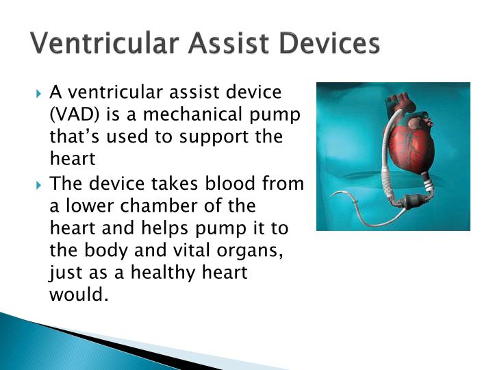 PPT - Acute Coronary Syndromes: Cardiac Arrest and Return of ...
