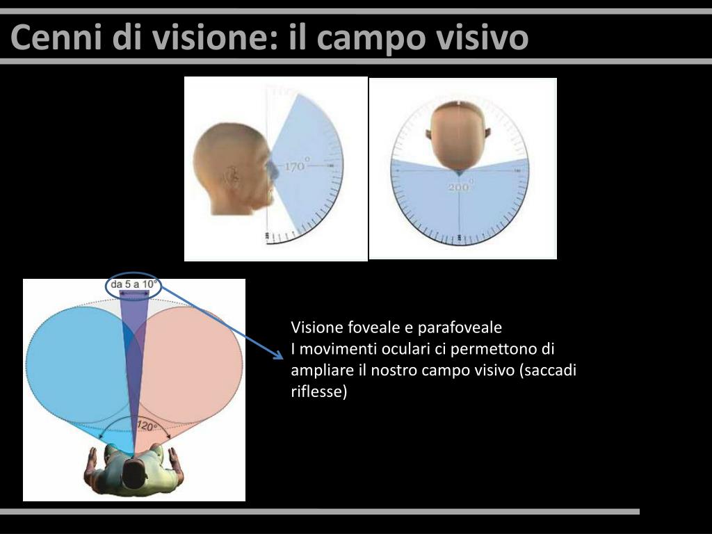 PPT - Temi trattati Cenni di visione: la luce e l’anatomia dell’occhio ...