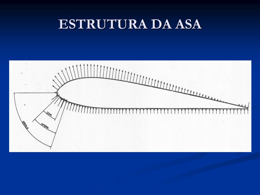 PPT - AERODINÂMICA Parapente / Asa Delta PowerPoint Presentation, free ...