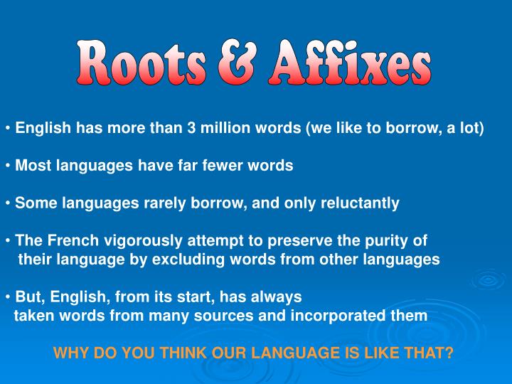 PPT - Roots & Affixes PowerPoint Presentation, free download - ID:3393463