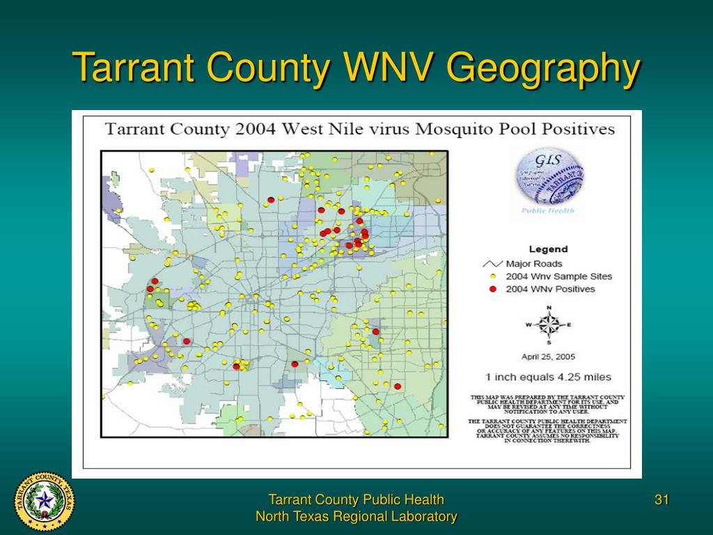 PPT - Six Years of West Nile Virus in Tarrant County, Texas PowerPoint ...
