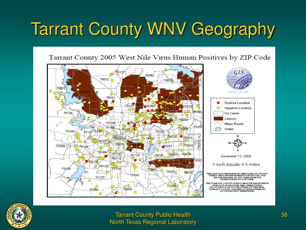 PPT - Six Years of West Nile Virus in Tarrant County, Texas PowerPoint ...