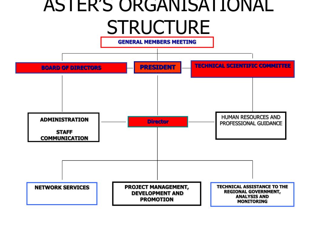 PPT - ALMA MATER STUDIORUM – UNIVERSITA’ di BOLOGNA SEDE di FORLI ...