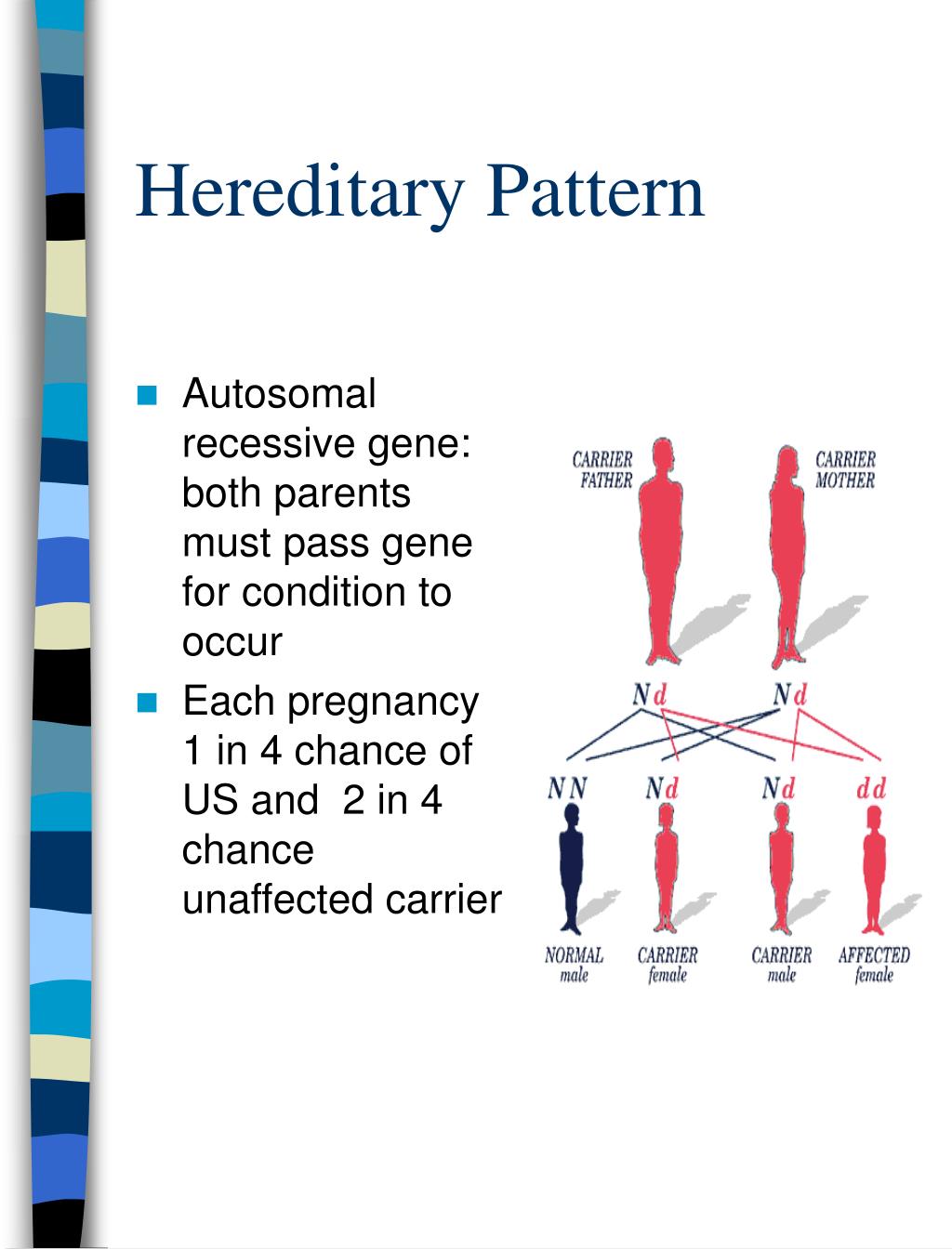 PPT - Texas School for the Blind & Visually Impaired Outreach ...