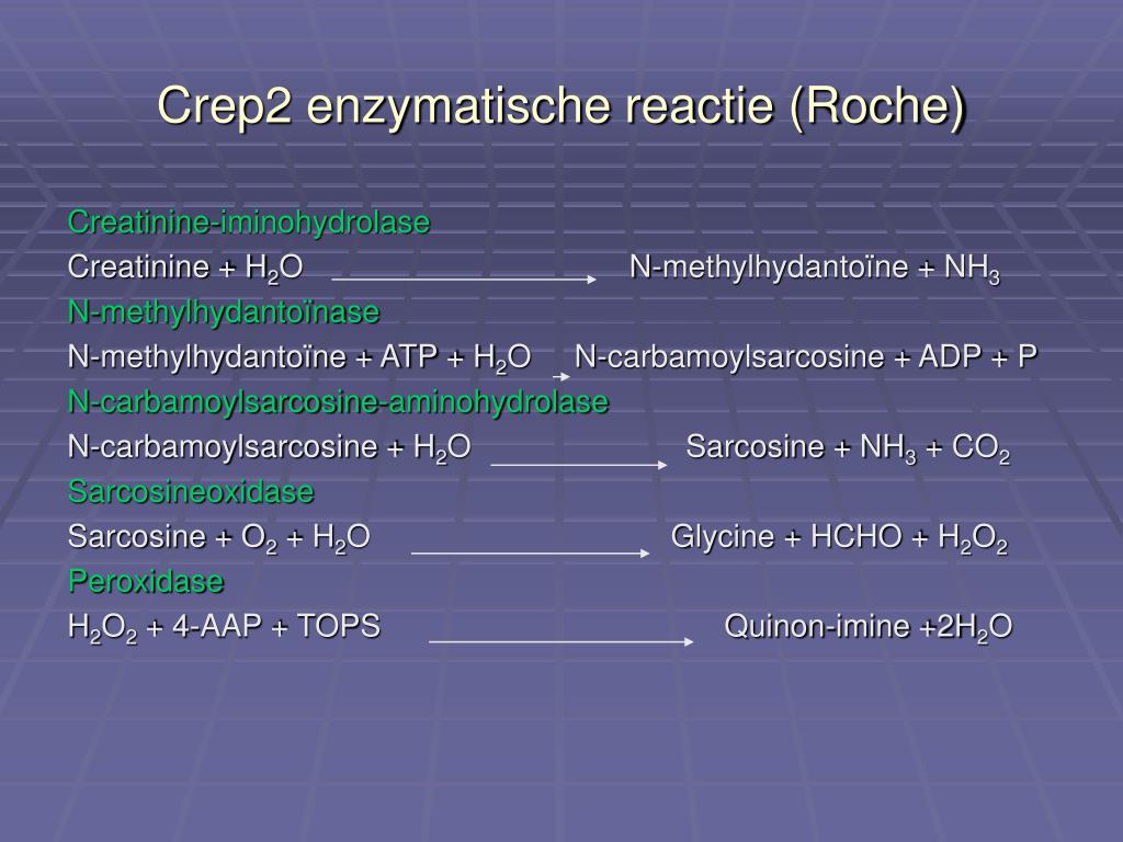 PPT - Kritisch bekeken : creatinine bepaling en creatinine klaring in ...
