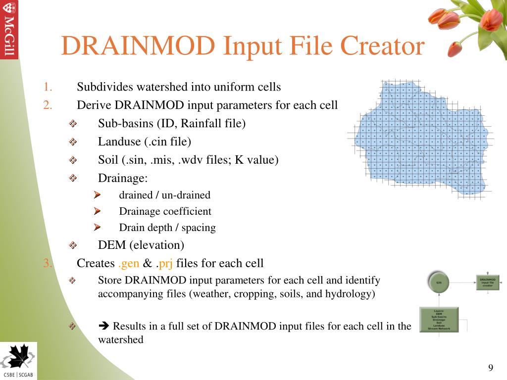 PPT - Shadi Dayyani Shiv Prasher Chandra Madramootoo Ali Madani ...