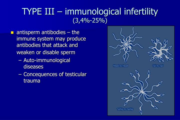 PPT - ANDROLOGY PowerPoint Presentation - ID:3395346