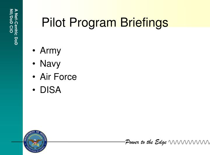 PPT - Pilot Program Briefings PowerPoint Presentation, free download ...