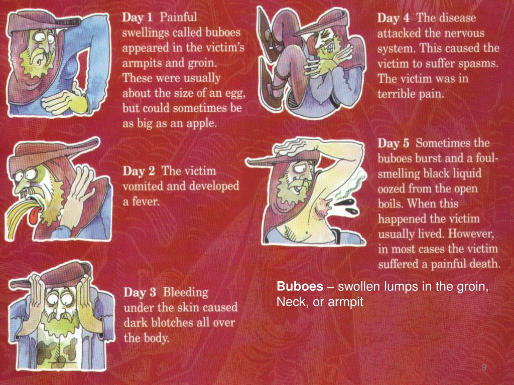 PPT - The Black Death of the Middle Ages The Bubonic Plague PowerPoint ...