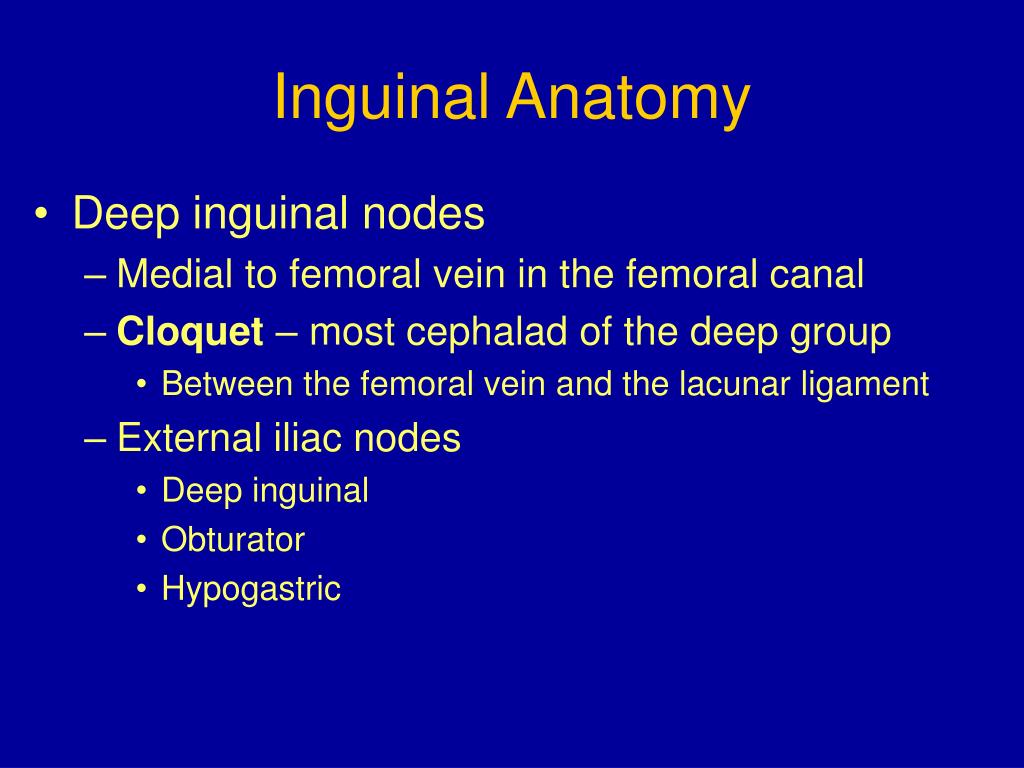 PPT - Surgery of Penile and Urethral Carcinoma PowerPoint Presentation ...