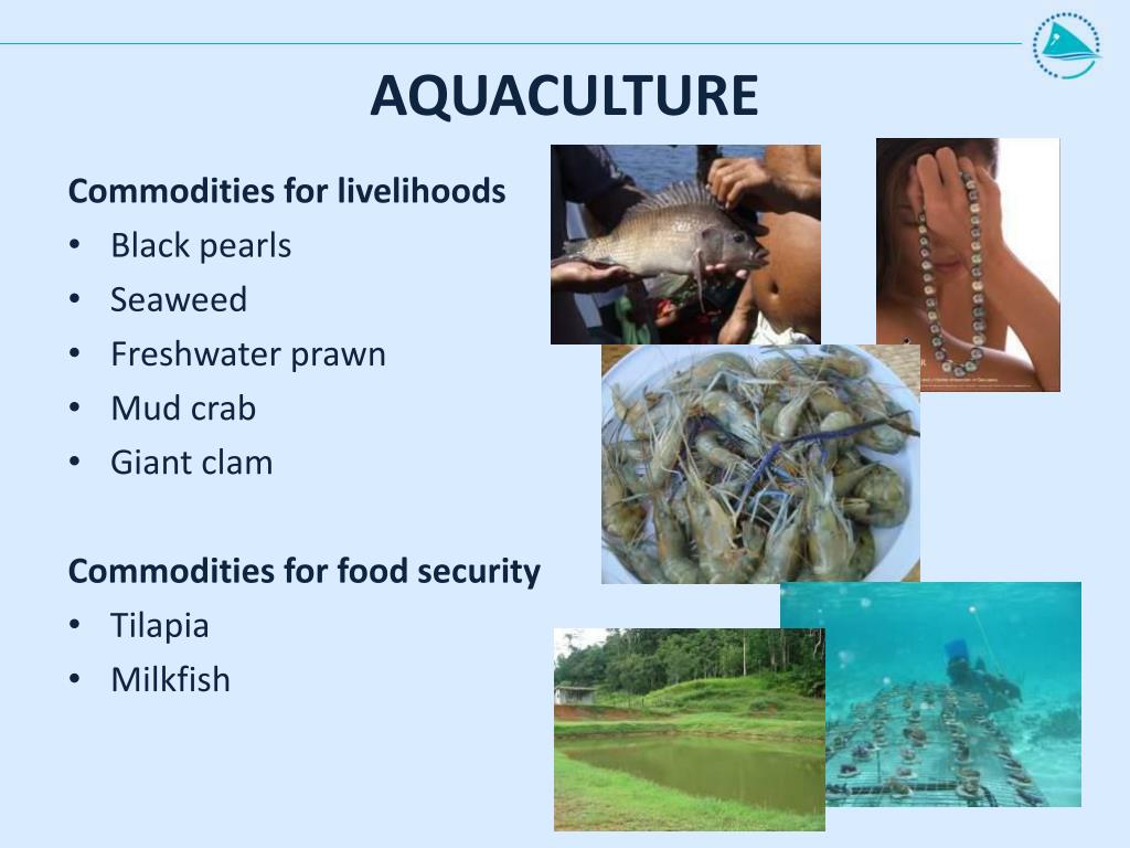 PPT - Fisheries and aquaculture in Fiji: Present status, and future ...