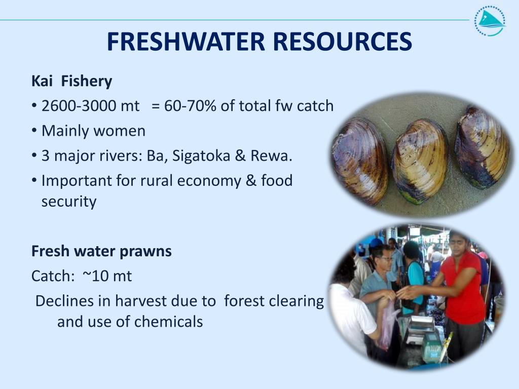 PPT - Fisheries and aquaculture in Fiji: Present status, and future ...