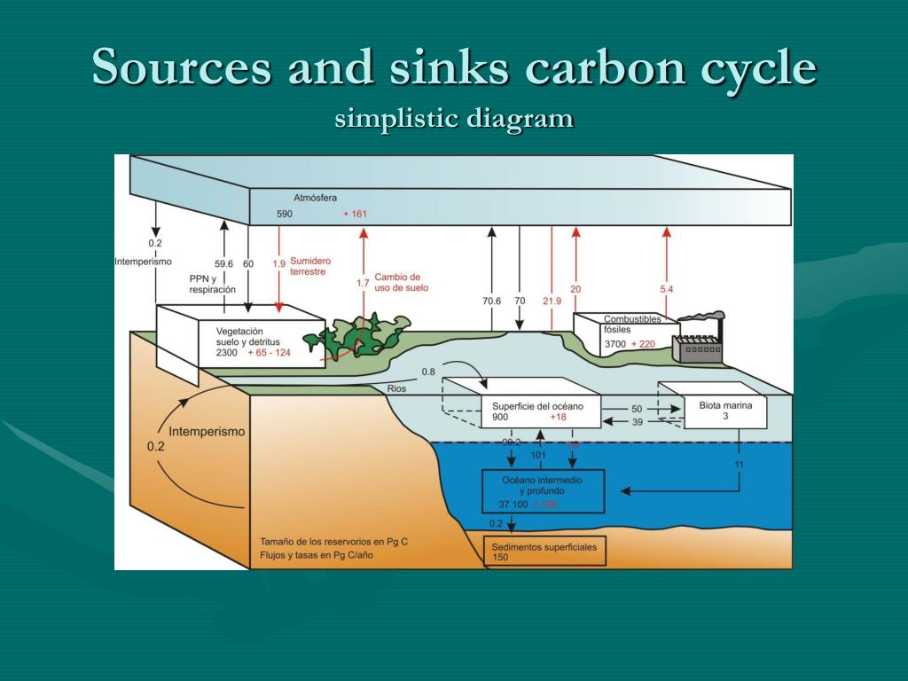 PPT - Coastal, Ocean, and Land Linkages in North American Carbon Cycle ...