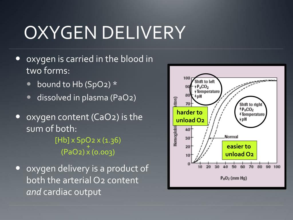 PPT - VENTILATION FOR THE SURGICAL RESIDENT PowerPoint Presentation ...