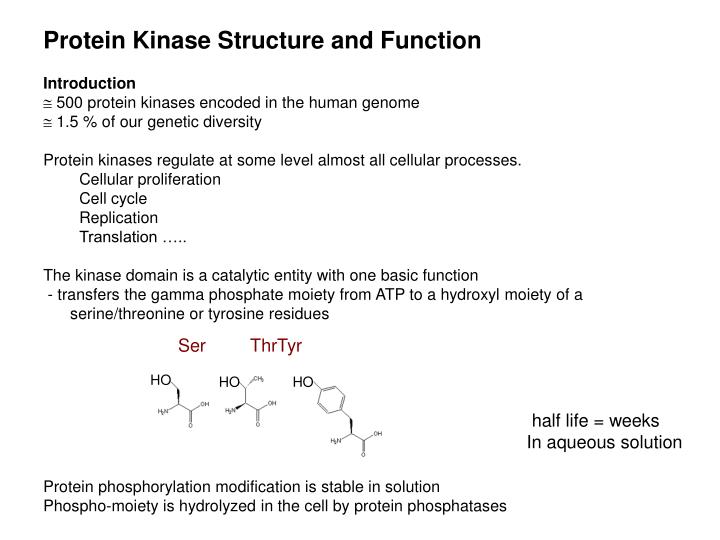 PPT - Protein Kinase Structure and Function Introduction PowerPoint ...
