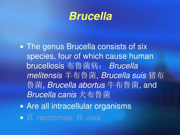 PPT - Brucella PowerPoint Presentation, free download - ID:3398253