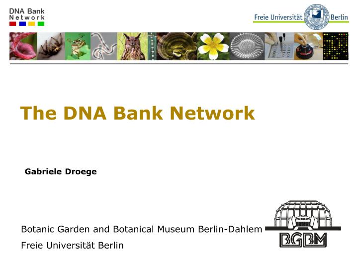 PPT - The DNA Bank Network PowerPoint Presentation, free download - ID ...