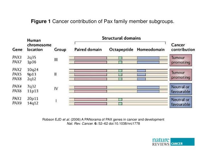 PPT - Robson EJD et al. (2006) A PANorama of PAX genes in cancer and ...