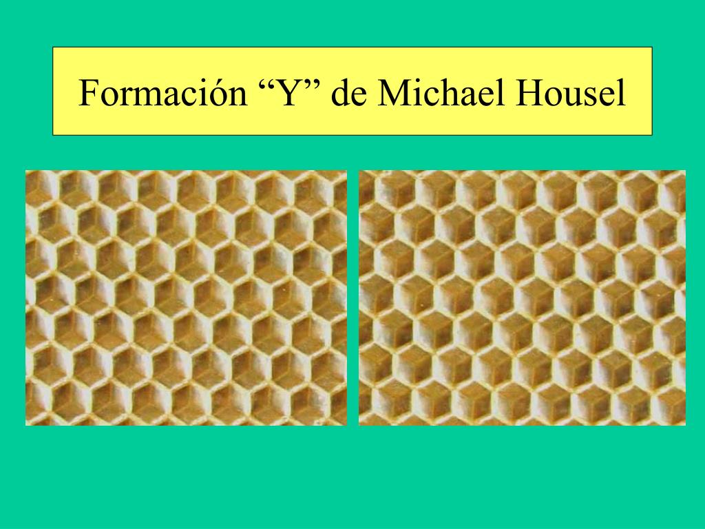 PPT - inicio del cambio a la abeja grande PowerPoint Presentation, free ...