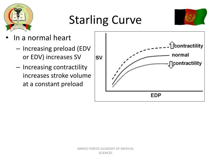PPT - Cardiovascular Anatomy and Physiology PowerPoint Presentation ...
