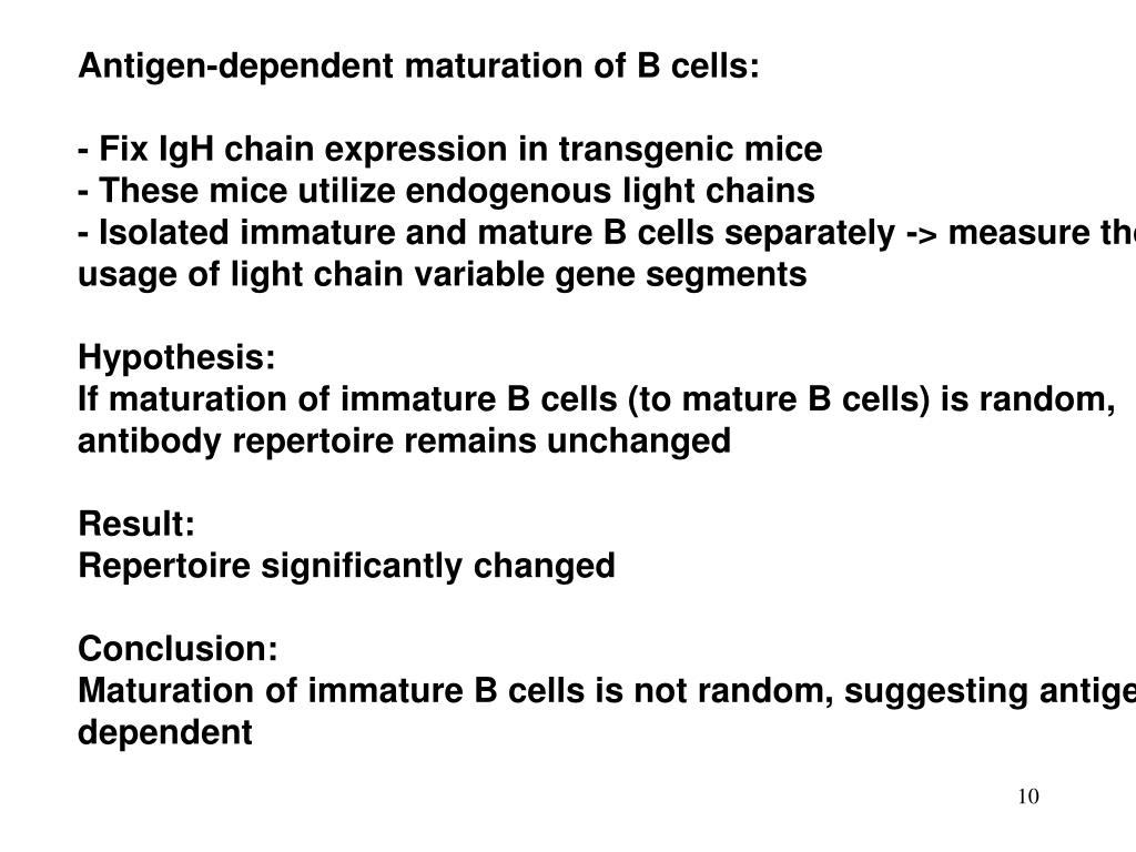PPT - B Cell repertoire - role of B cell antigen receptors (BCR ...