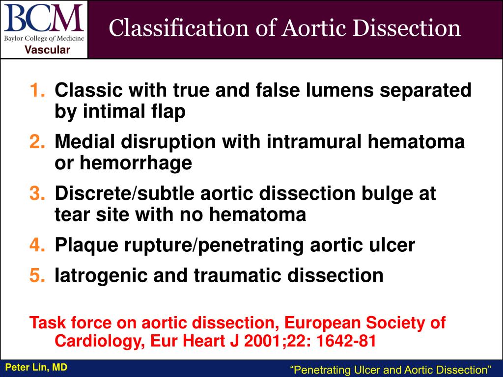 PPT - Southern Association for Vascular Surgery 2007 Postgraduate ...