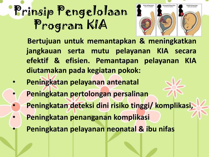 PPT - PROGRAM KIA PowerPoint Presentation - ID:3400154