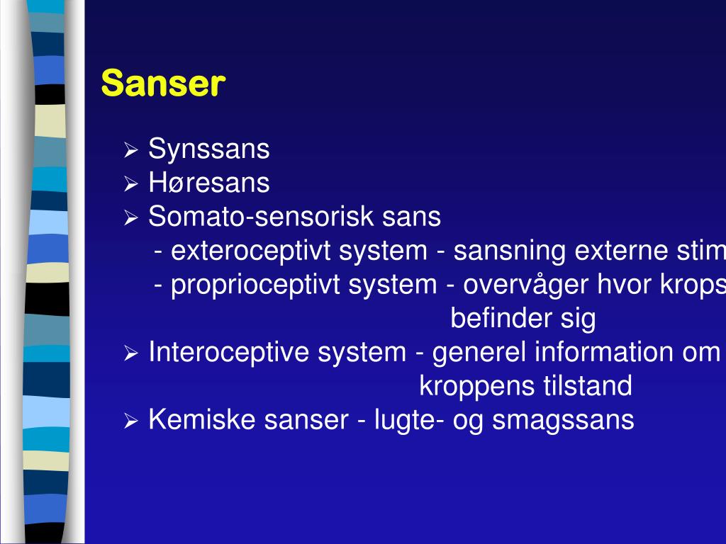 PPT - Neurofysiologi / Anatomi PowerPoint Presentation, free download ...