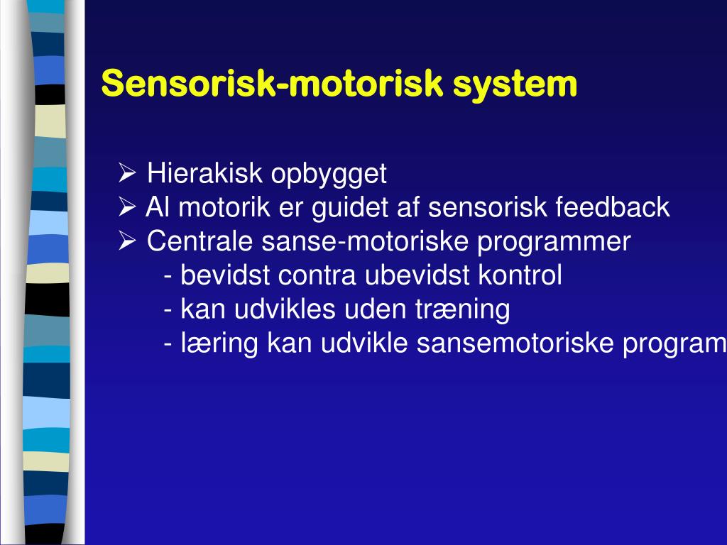 PPT - Neurofysiologi / Anatomi PowerPoint Presentation, free download - ID:3400416